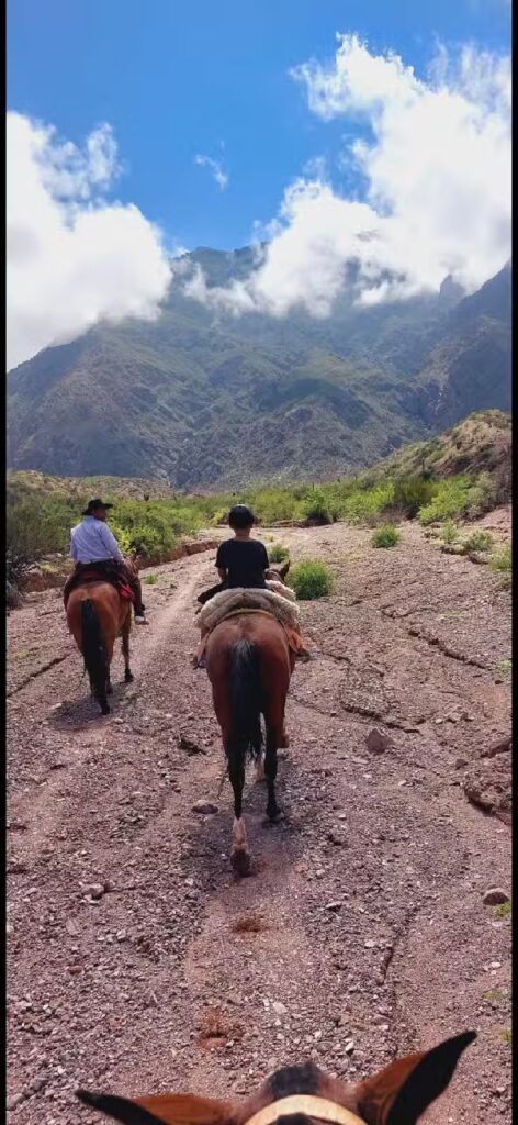 Cabalgatas -Tierra Colorada- Quebrada de las conchas - Agencias de Turismo