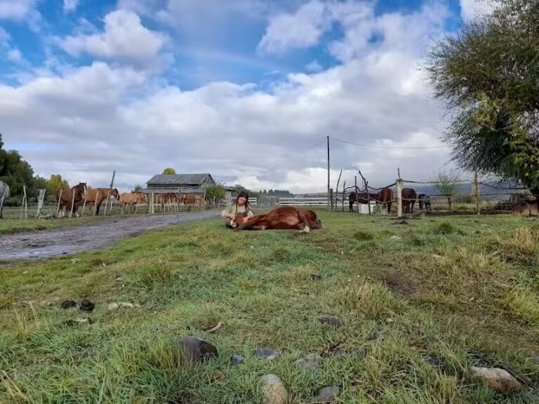 La Tropilla - Agencias de Turismo